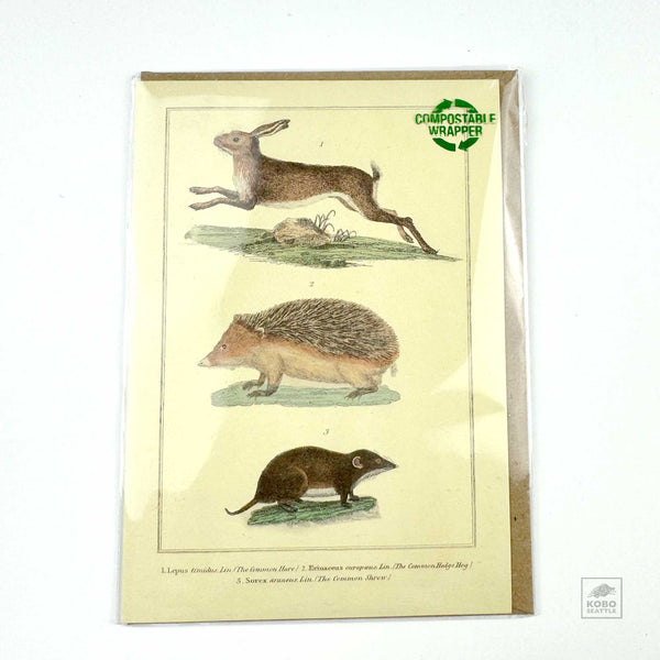 Card - Hare, Hedgehog, Shrew - KoboSeattle